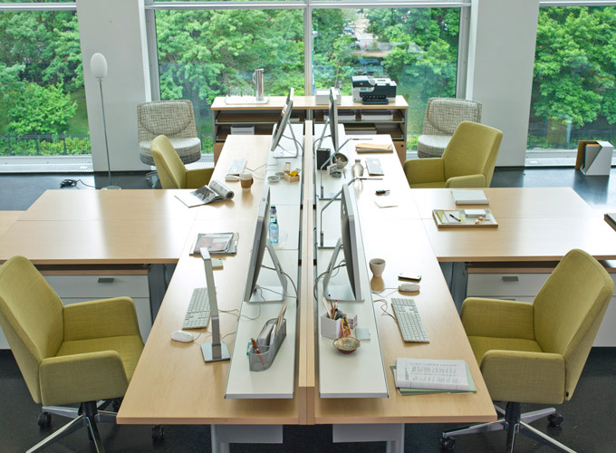 Professional Service - Young Office