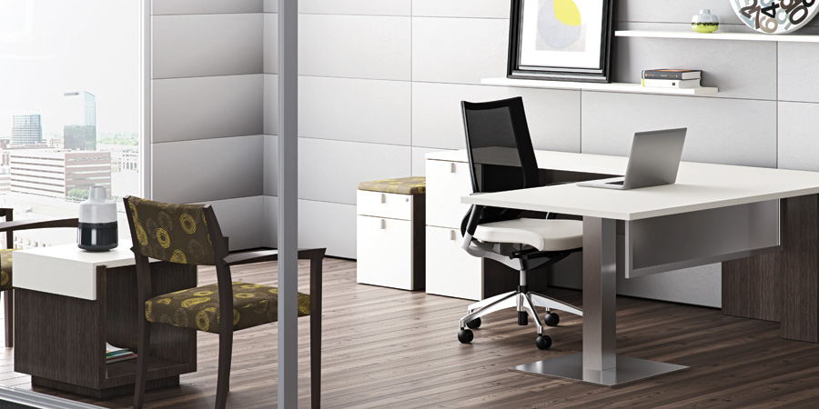 Professional Service - Young Office